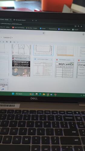 Open Court Unit 2 Lesson 2 Seasons of Change by Andrea White | TPT