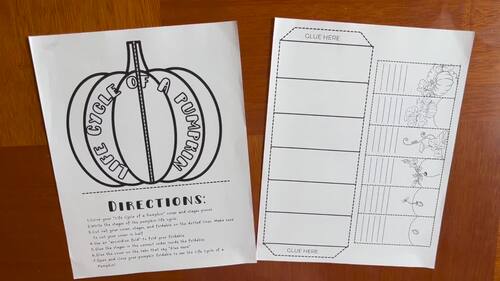 Pumpkin Life Cycle Craft for 2nd Grade, No Prep Fall & Halloween ...