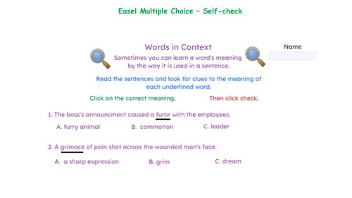 Words in Context - Printable, Easel Drag and Drop with Self-check