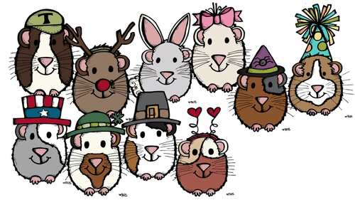 Guinea pigs clip art Pet clip art COMBO PACK by Melonheadz Clipart