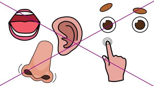5 Senses Animated GIF Science Moving Clip Art by Little Patches ...