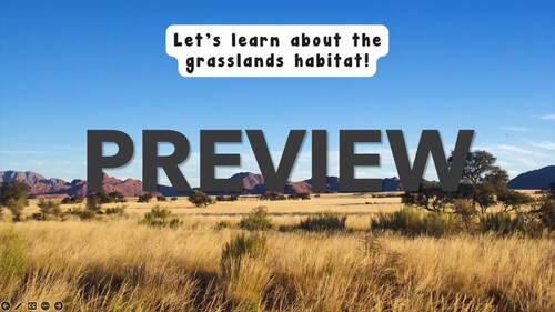The Grasslands (Savanna) Habitat: Virtual Field Trip | TPT
