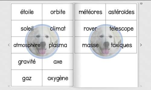 Le soleil et les planètes - le système solaire FRENCH Reading Comprehension