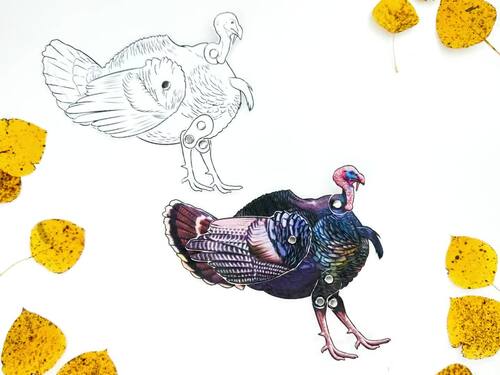 Turkey | Jointed Animal Craft | Articulated Craft | Thanksgiving | Turkeys