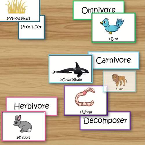 Food Chains & Food Web, Types of Consumers Sorting Cards (Interdependence)