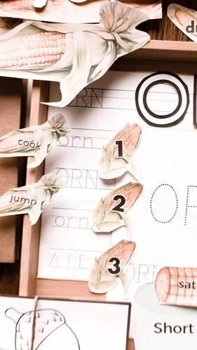 The ORN Word Family Pack by For the Love of Homeschooling | TPT