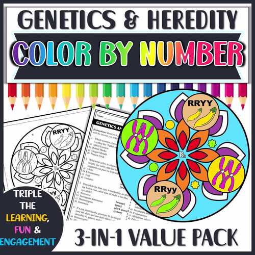 Genetics and Heredity Vocabulary Color by Number | Review Worksheets ...