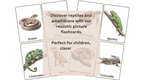 Reptiles & Amphibians Flashcards | 24 Printable Vocabulary Cards
