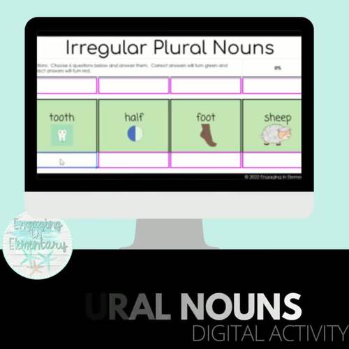 Self-Checking Irregular Plural Nouns Activity for Google Sheets™