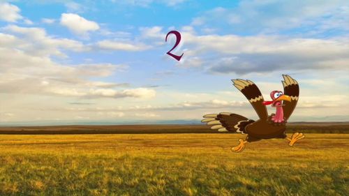 Run, turkey! Run, turkey! - Open String Play Along for Beginners