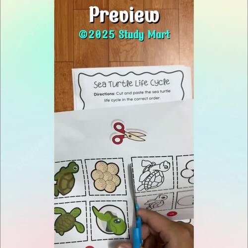 Sea Turtle Life Cycle Cut and Paste Activity – Printable Science Worksheet