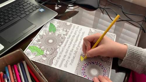 Bible Verses 12 Coloring Pages Creation & Salvation Scripture Relaxing ...