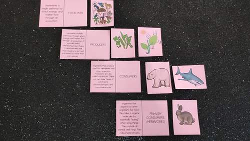 Introduction to ecology vocabulary activity: definitions and examples ...