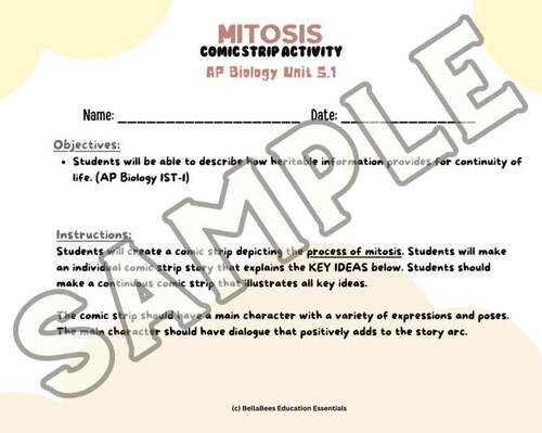 AP Biology Unit 5.1 Mitosis: Comic Strip Activity | TPT