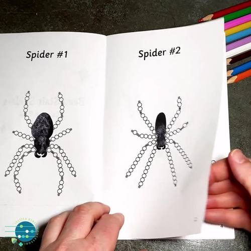 Montessori Halloween Math Booklet: Count and Color the Bead Stair Spiders