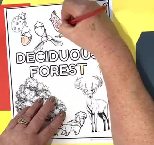 deciduous community coloring pages