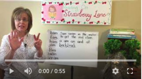 VIDEO: Reading: Set 1. Lesson 5. Word Family Pattern -am | TPT