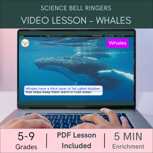 Science bell ringer video (4 min) - Whales - Middle school | TPT