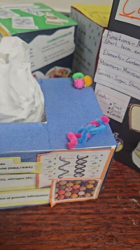 Biomolecules Tissue Box Project- one of my favorite exploration activities!
