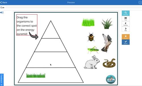 Ecology Digital Task Cards - Boom Cards by Science Is Booming | TPT