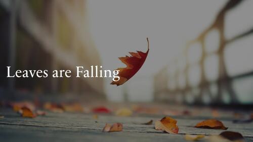 Leaves are Falling by MR PETE MUSIC INC | TPT