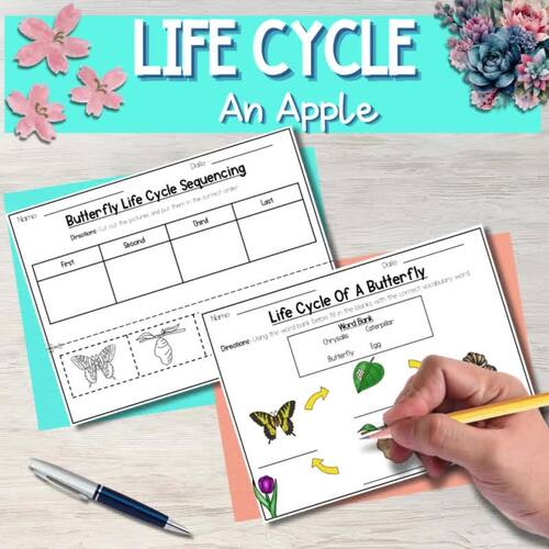 Life Cycle Of A Butterfly - Sequencing and Labeling worksheets | TPT