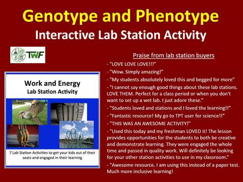 Work and Energy - Lab Station Activity by Teach With Fergy | TpT