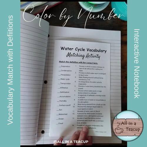 Water Cycle Vocabulary Spring Foldable Match & Color By Number Activity