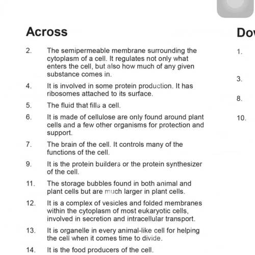 Crossword puzzle - Name and Function of the organelles with answer keys