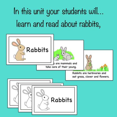 Rabbits - Nonfiction Writing Unit - for early writers and ESL students
