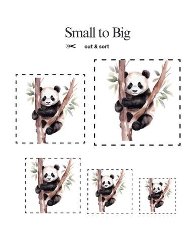 PANDAS Unit Study and Activity Pack, kids-3-6 years old, Instant Download