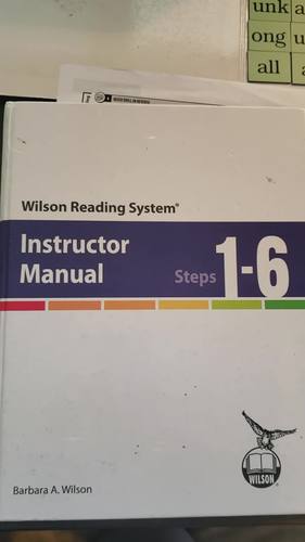 Wilson Reading lesson plan video by The Beach | TpT