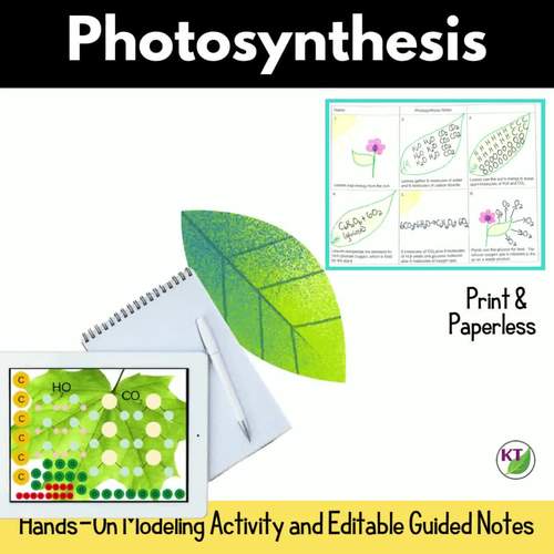 Photosynthesis - Hands-on Modeling Activity and Guided Notes Lessons