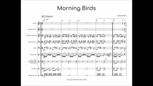 Morning Birds (Steel Drum Band) by Blaine Klein by Blaine Klein | TPT