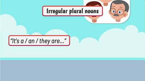 STELLAR TEFL A1 COURSE Unit 14: Plural Nouns by Stellar TEFL | TPT