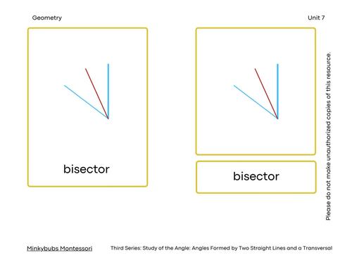 Montessori Angles and Transversal Geometry Nomenclature Unit 7 Study of ...