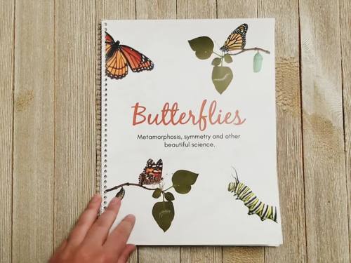 Butterfly Unit by Hatching Curiosity | Teachers Pay Teachers