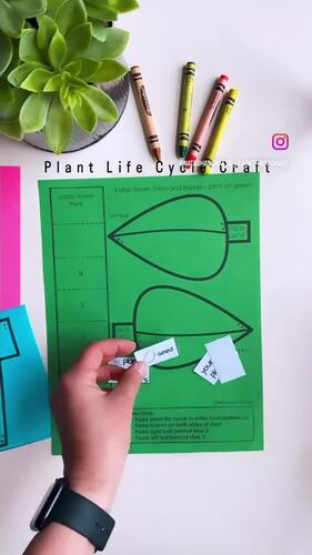 Plant Life Cycle Craft | Potted Flower | Spring | Science | Bulletin Crafts
