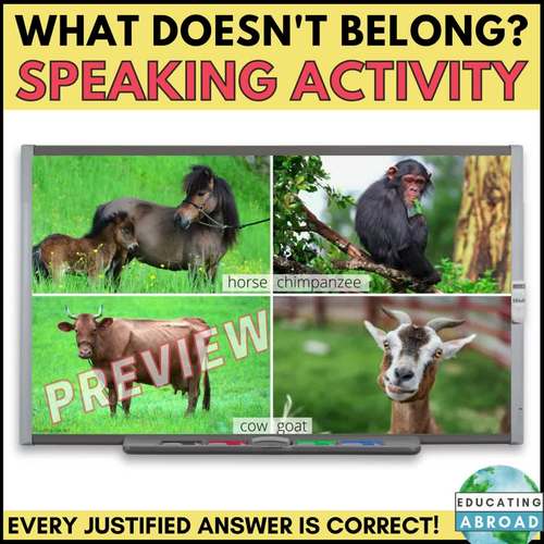 Classifying Animals Science Activity | Morning Meetings Conversation ...