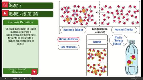 Osmosis Interactive Diagram by Science With Mrs Lau | TPT