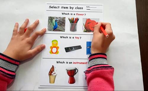Receptive Language Activity - Select Item by Class, Which Questions by ...