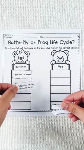 Butterfly Life Cycle or Frog Life Cycle? – Cut and Paste Sorting Activity