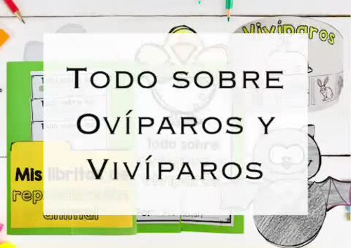 Animales ovíparos y vivíparos | Oviparous and viviparous animals in Spanish