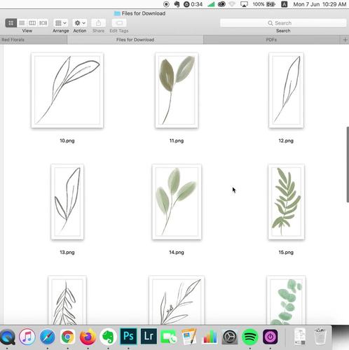 Red and Blue Watercolor Flowers Clipart Floral Wreath Circle PNG Border ...