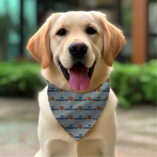 Team Spirit Football Digital Paper Seamless Patterns Dallas Cowboys Colors