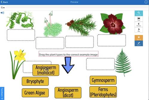 Plants Boom Cards - Classification, Reproduction, Structure and Function