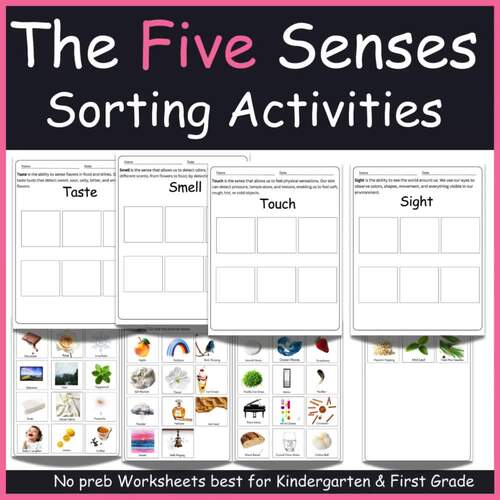 The Five Senses Sort Activity | Cut and Paste Back To School Sorting ...
