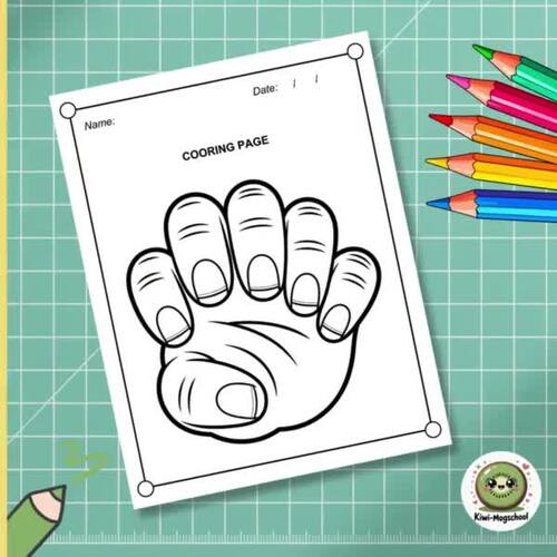 Nail Structure Labeling Diagram Worksheets | Integumentary System (No Prep)