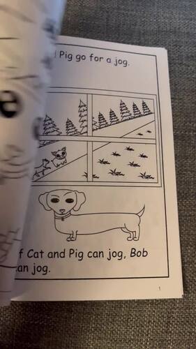 KINDERGARTEN DECODABLE READER- Letter N - Bob Will Jog- Phonics series ...