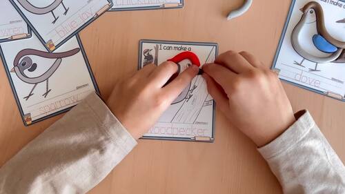 Backyard Birds Play Dough Mats Fine Motor Skills Visual Cards Quiet Time